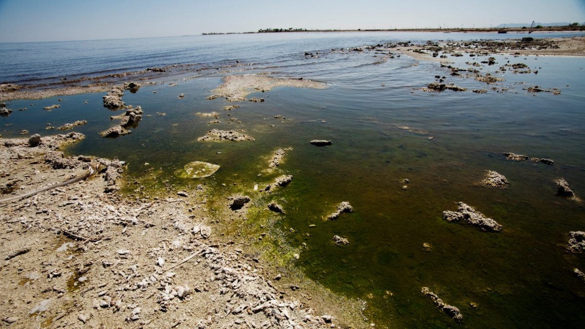 4 Common Causes of Water Pollution & Its Health Impact | Aqua Fresh ...